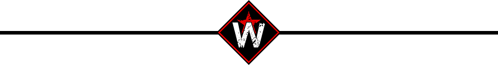 Wraith Ops | Fast-Paced Tactical FPS